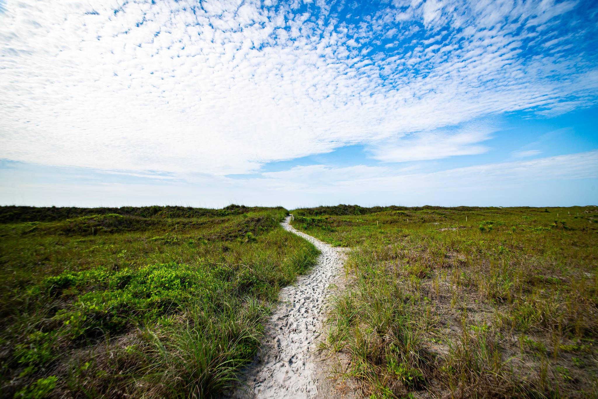 Hidden Gems of Topsail Island | Landmark Vacation Rentals